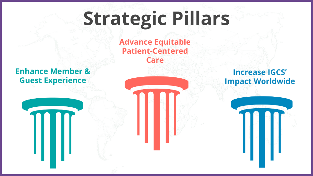 IGCS Board Defines Strategic Goals