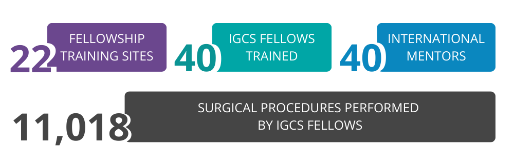 Global Fellowship Program Impact Report - IGCS