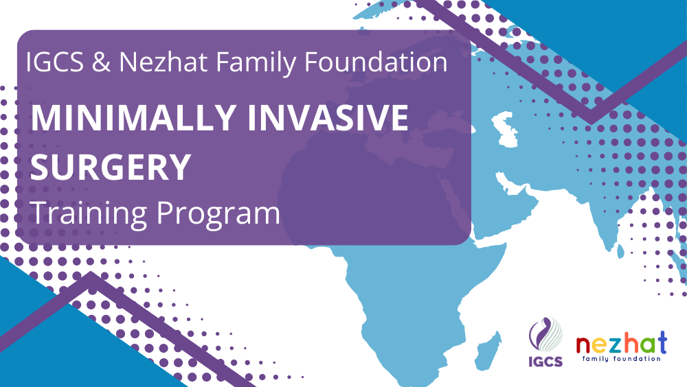 MIS Training Program