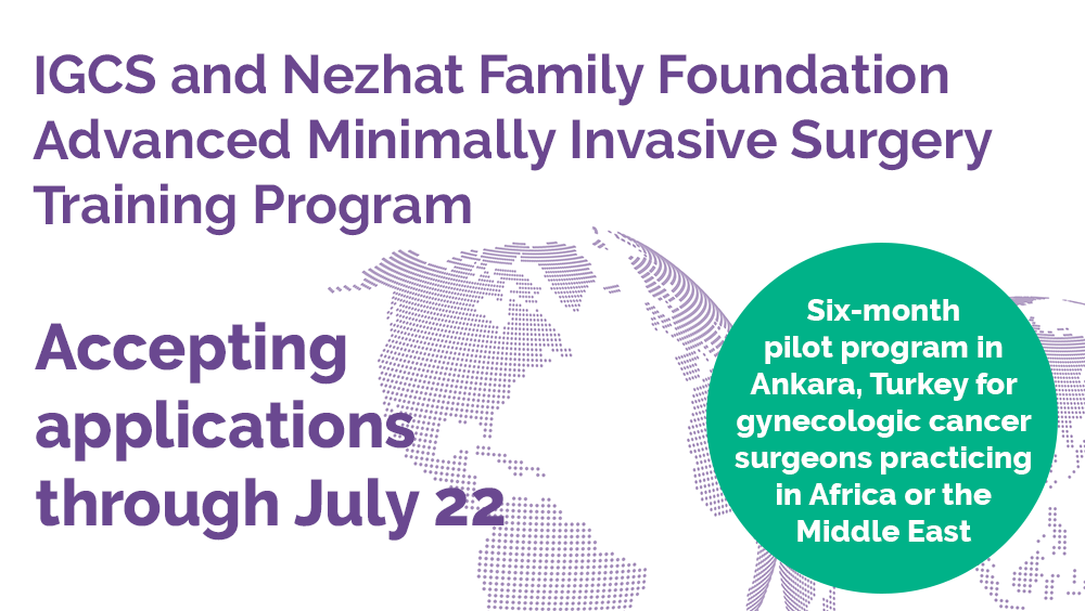 MIS Training Program - IGCS