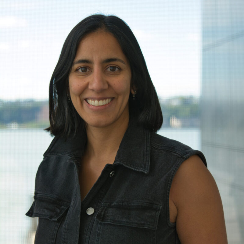 IGCS Board of Directors