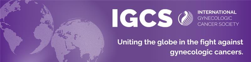 IGCS Board Sets Strategic Course - IGCS