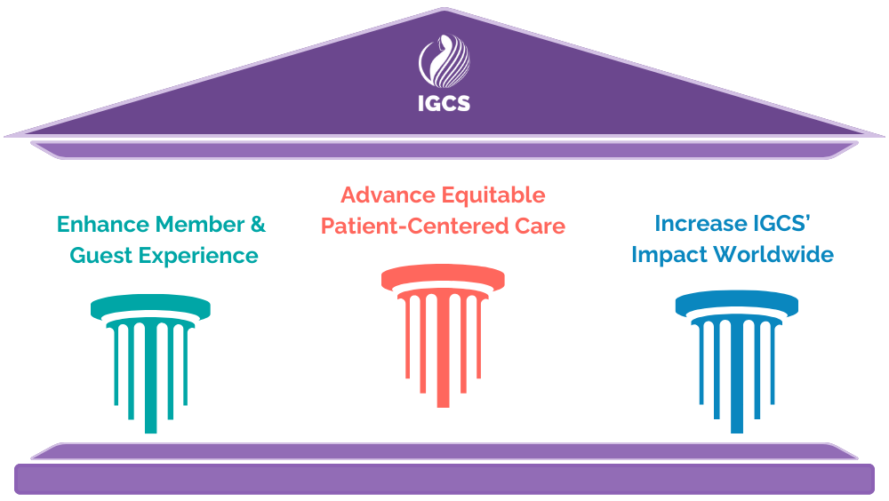 IGCS Board Sets Strategic Course - IGCS