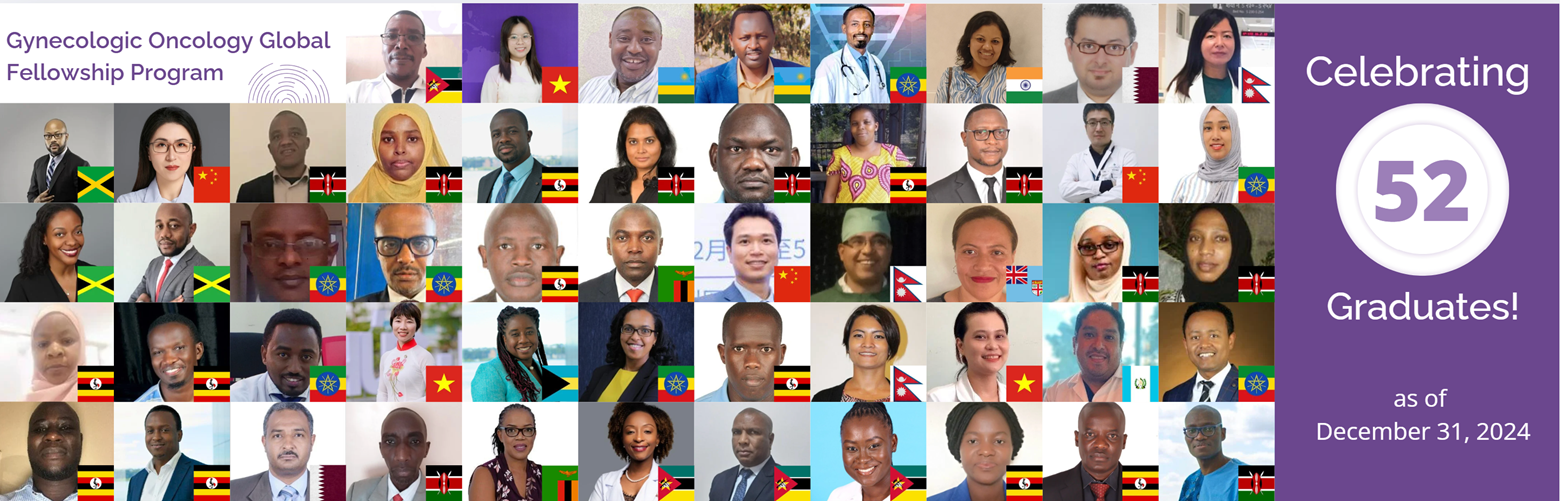 Global Fellowship Program Impact Report - IGCS